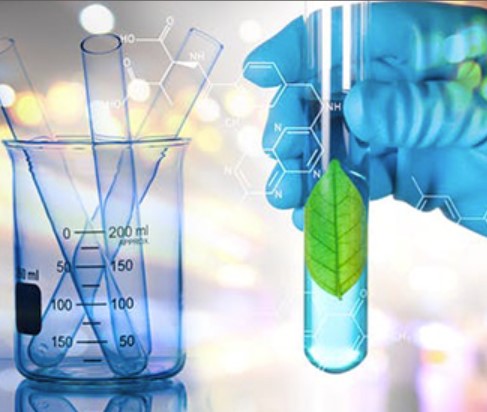 Home [skillpromise.com]